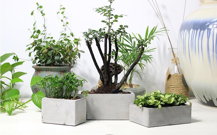 Buy Unique Molds | Planting | Lamp | Clock | Tile | Furnishing | Tray ...